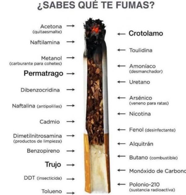 Qué es trujo en México [Actualizado 2025]