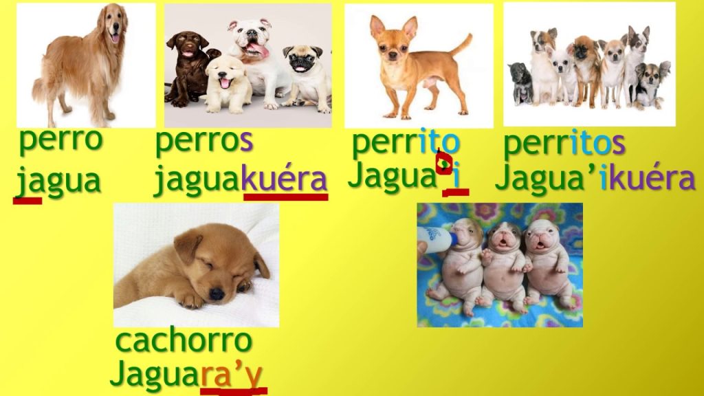Cómo se dice tiburón en guaraní [Actualizado 2023]