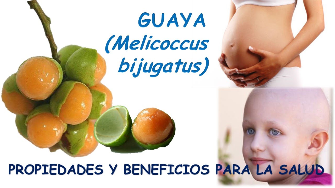 Qué beneficios tiene la guaya [Actualizado 2025]