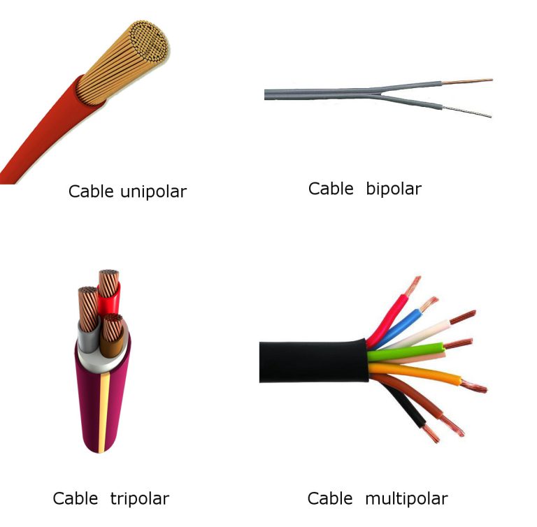 Qué es un conductor bipolar [Actualizado 2023]